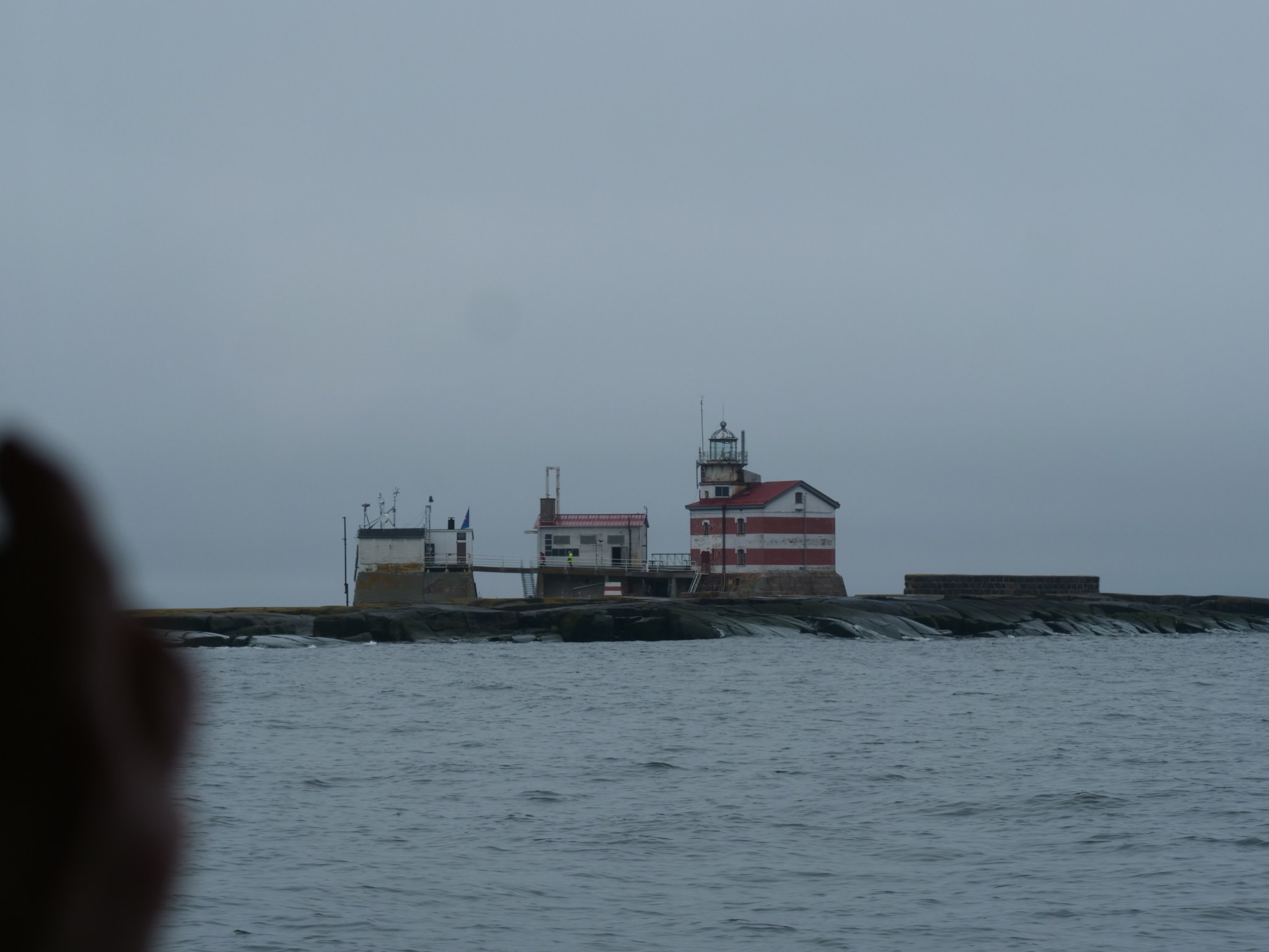 OJ0 Market Reef 2024